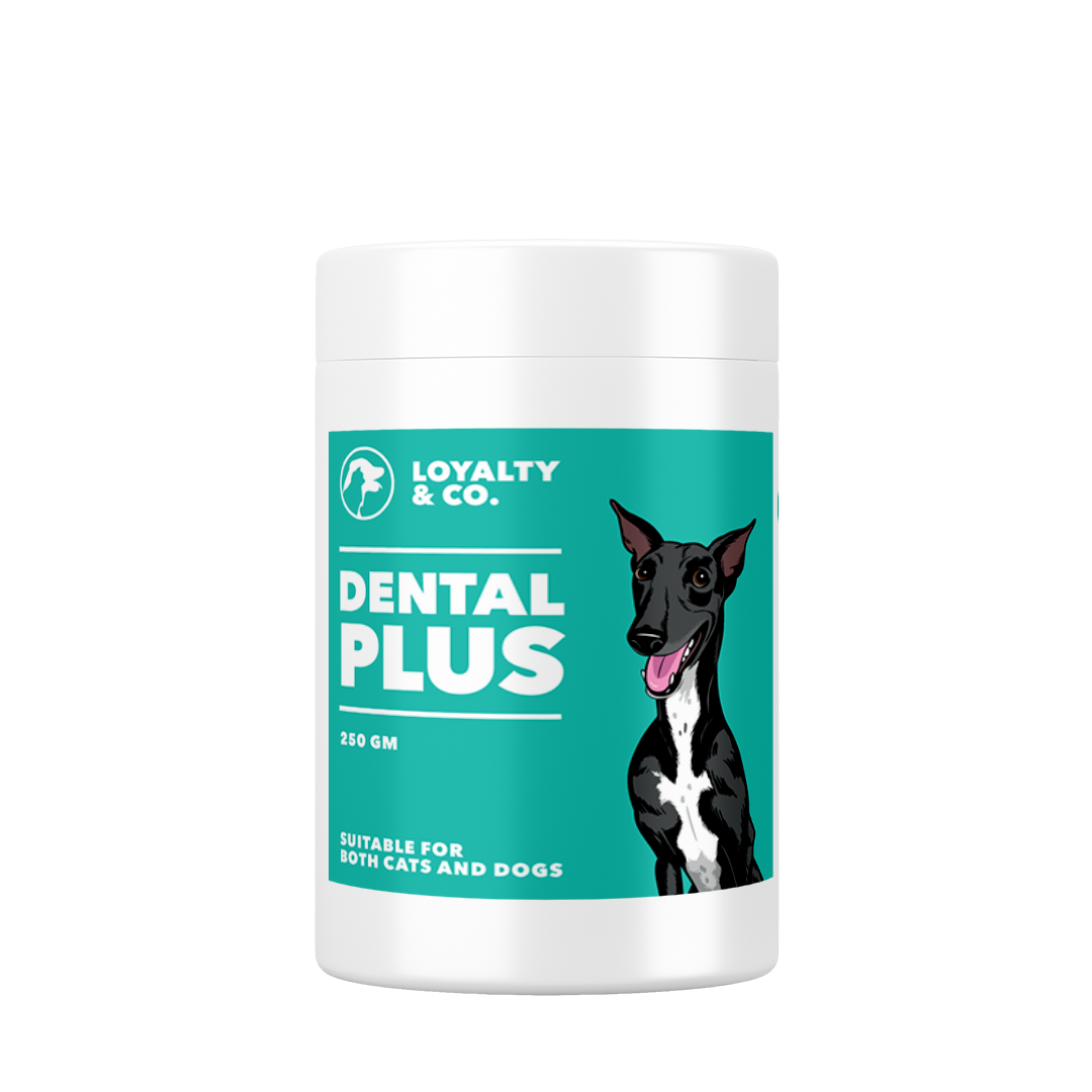 LOYALTY & CO. DENTAL PLUS