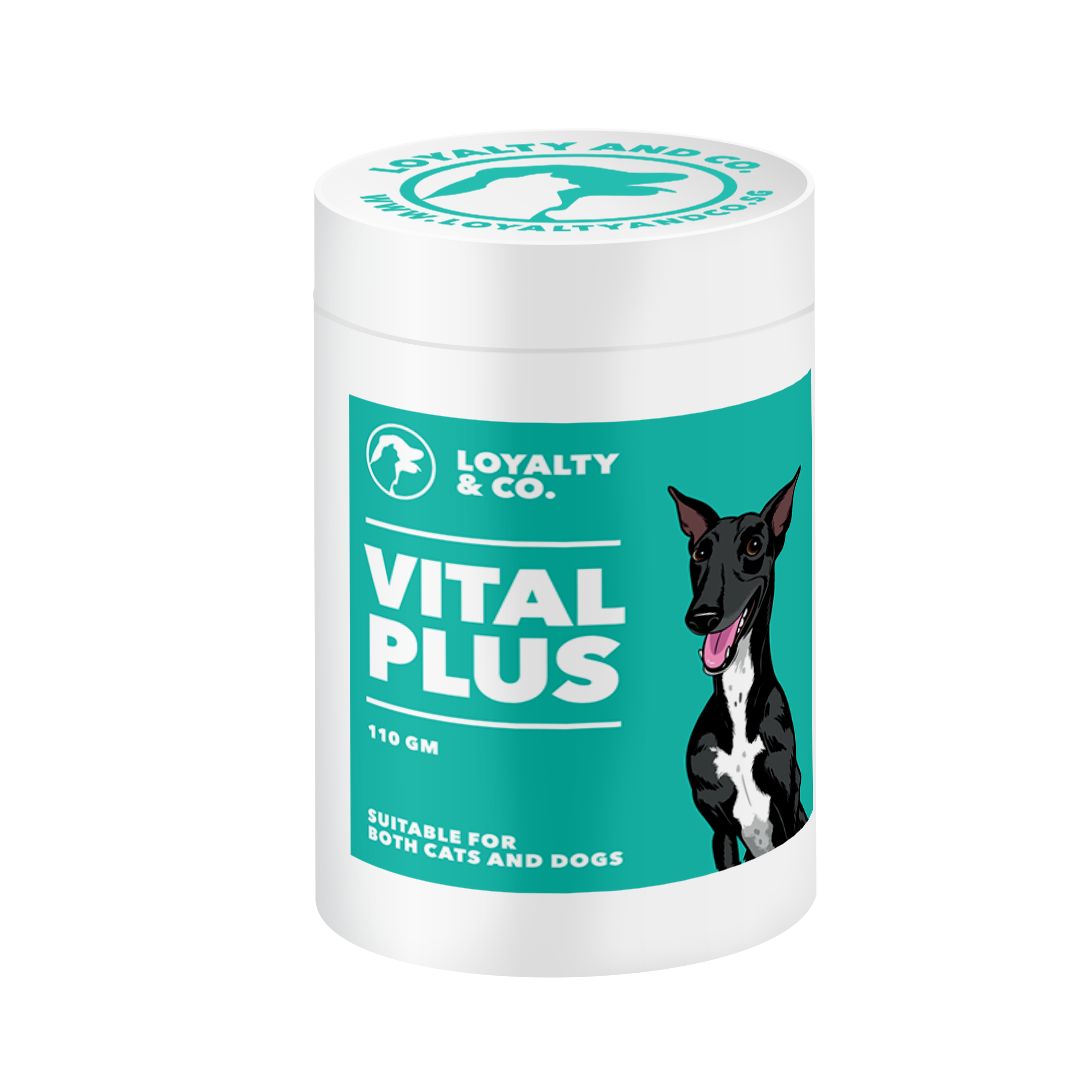LOYALTY & CO. VITAL Plus 110g
